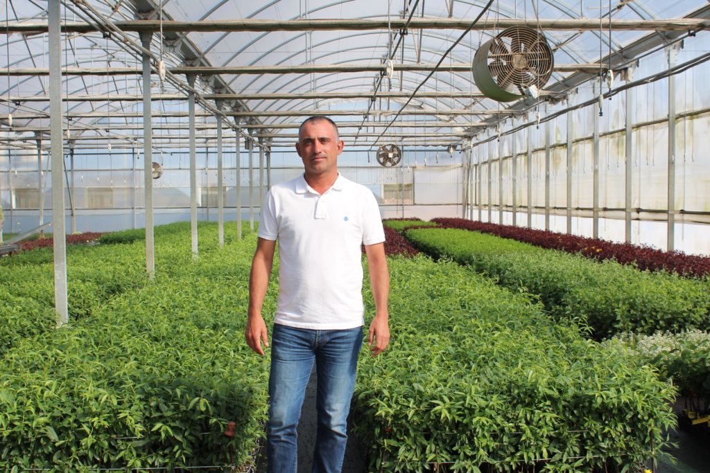 Fernando Hernandorena - ASFPLANT